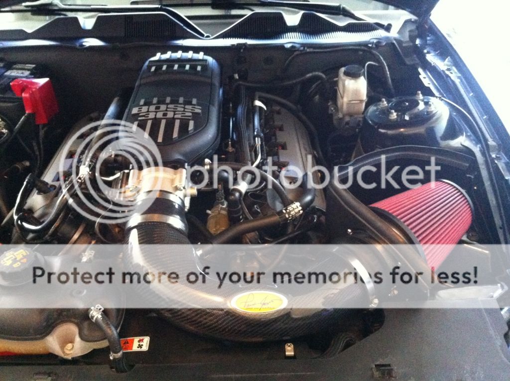 ***show me your engine bays*** | Page 39 | S197 Mustang Forum ...