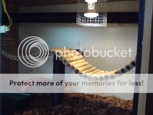 carpet python housing insperation needed please | Reptile Forums